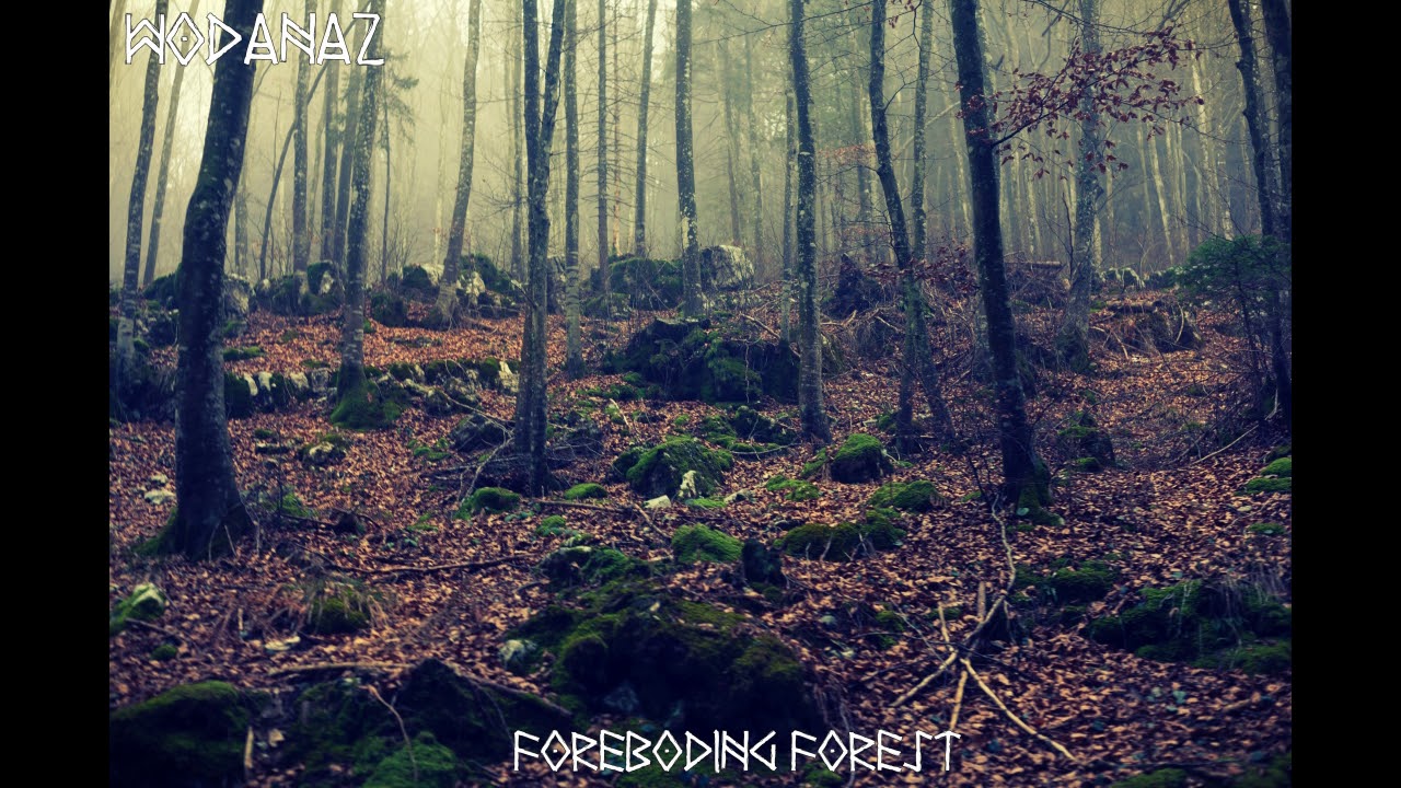 Wodanaz - Foreboding Forest - YouTube
