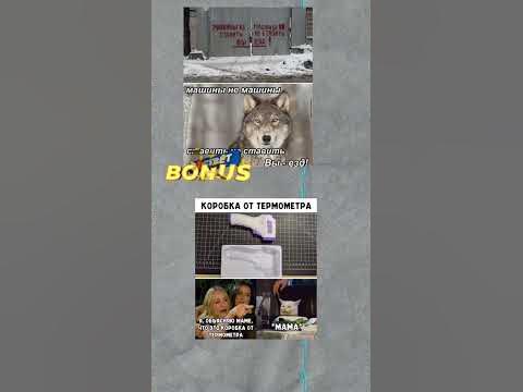 Мемы #мемасики - YouTube