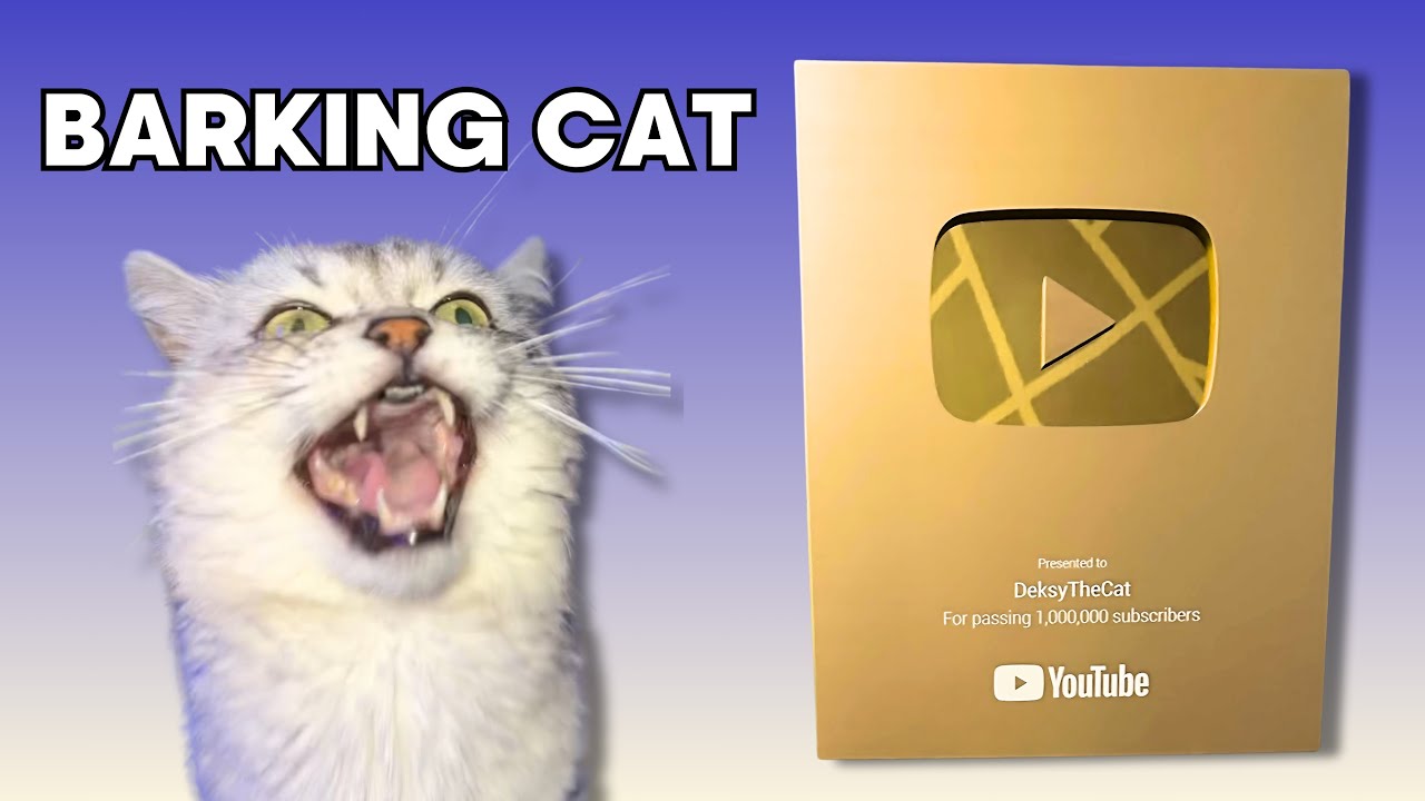 Barking Cat Hits 1 Million Subs! - YouTube