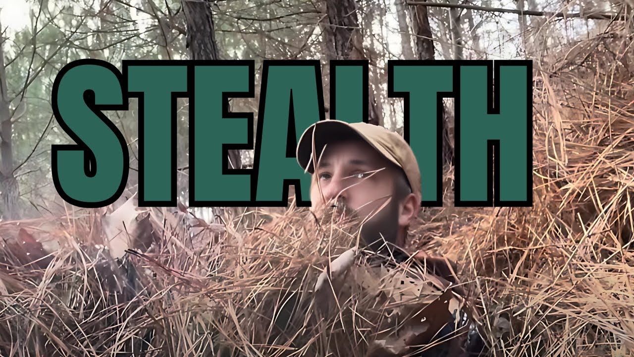 Stealth Shelter Tips and Tricks! - YouTube