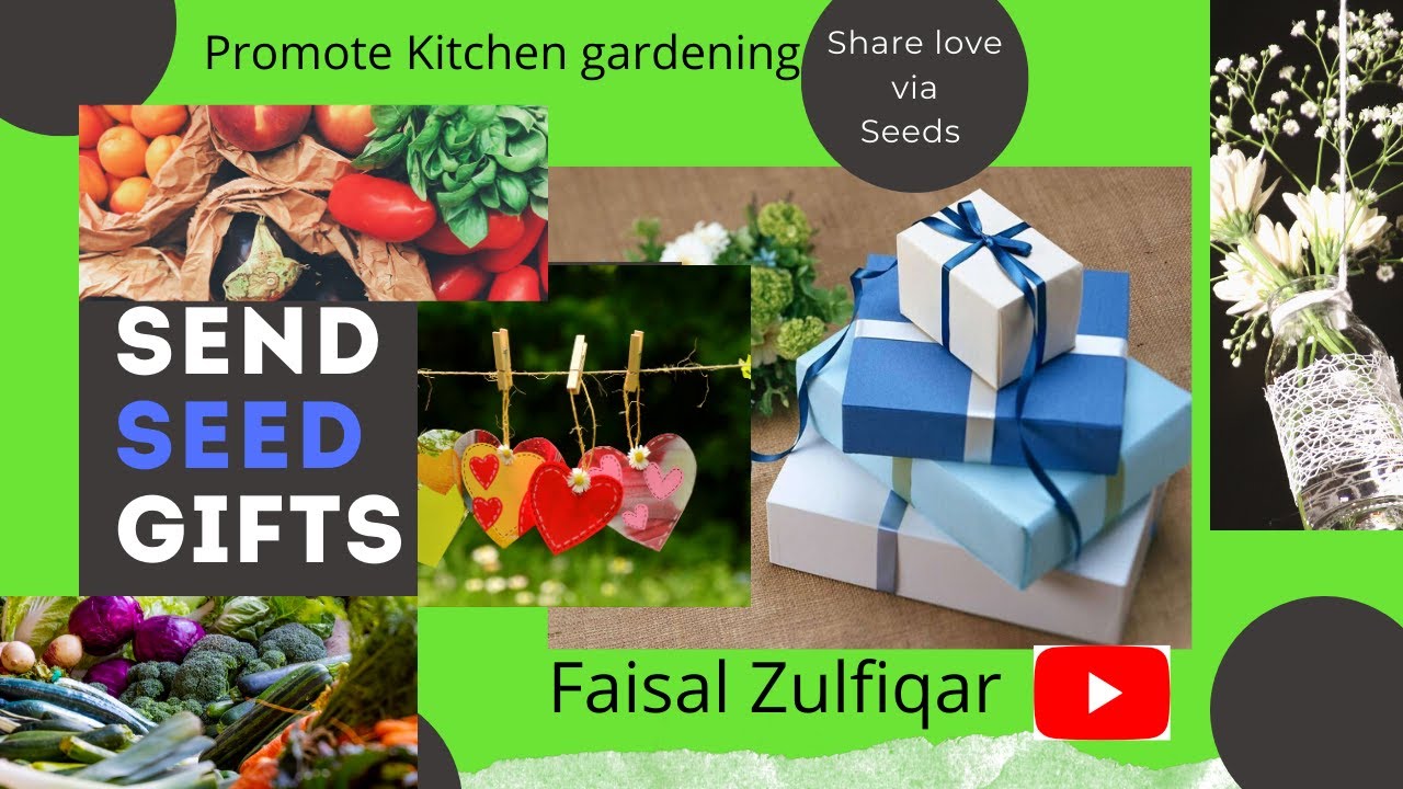 Sending Seed Gifts to loved ones: A way to promote kitchen gardening ...