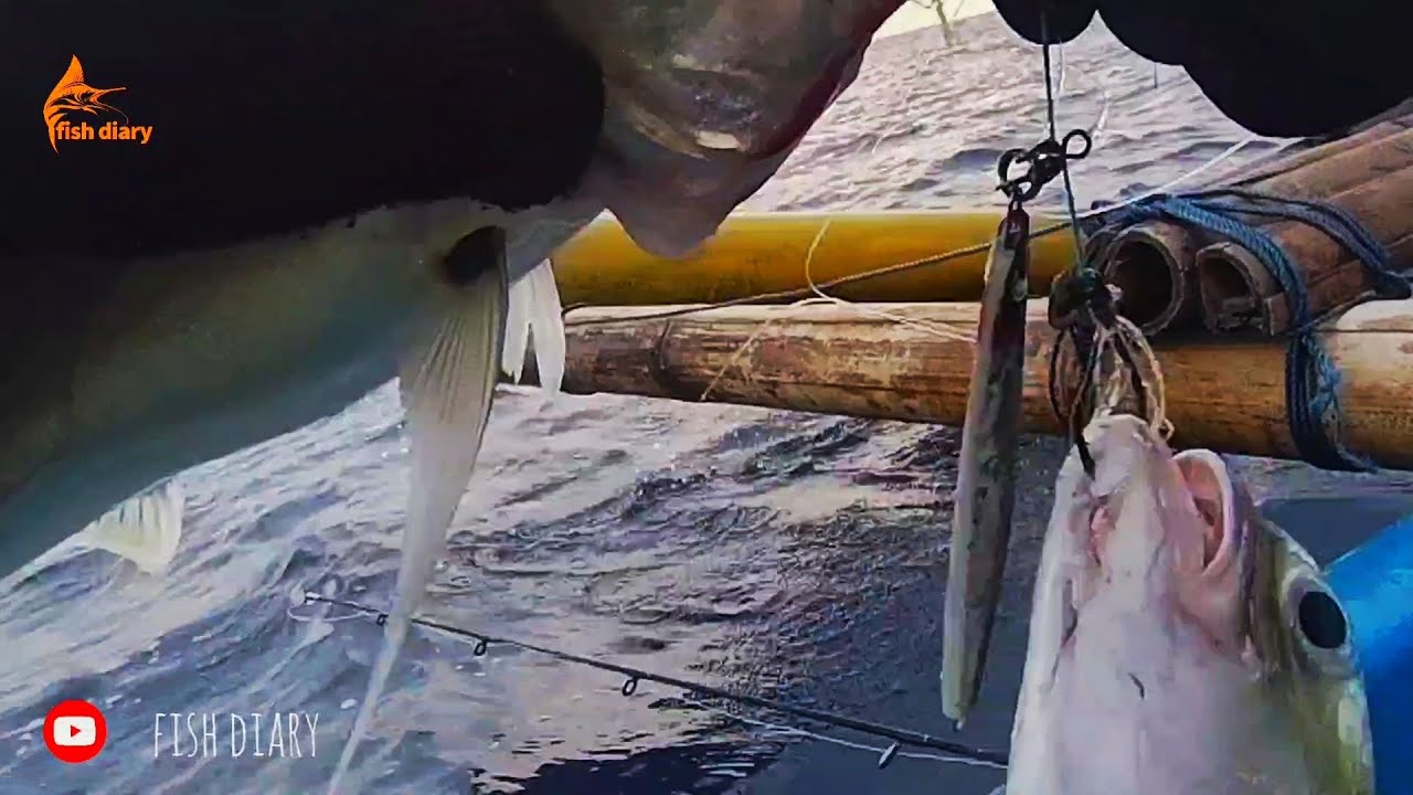 pesta strike ikan kuwe lilin panen strike - YouTube