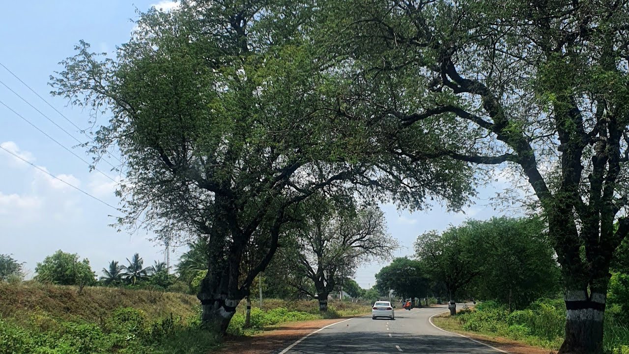 Tamilnadu Roads/Madurai Pollachi Route/Trip to Dhanushkodi/Windmills ...