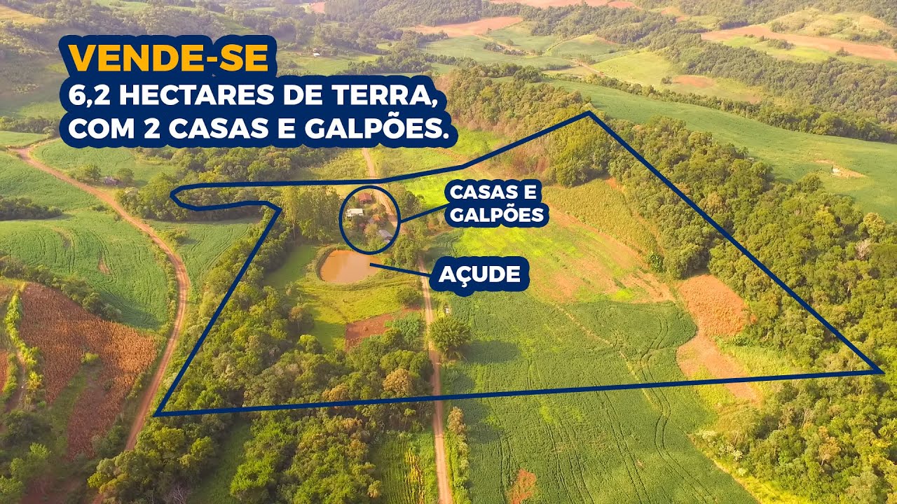 💥VENDE-SE 6,2 HECTARES DE TERRA AQUI na LINHA BAIXO XAXIM, em PINHAL ...