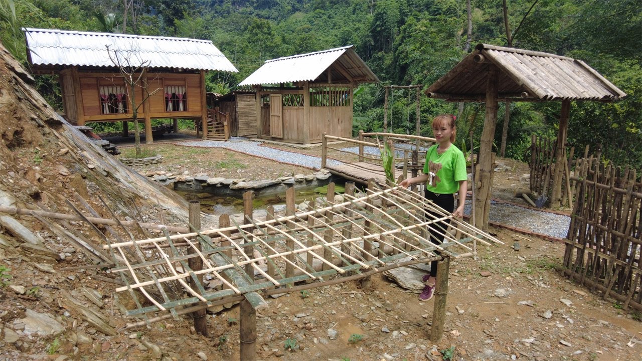 Build a system of bamboo trees to make truss vegetable - Green forest ...