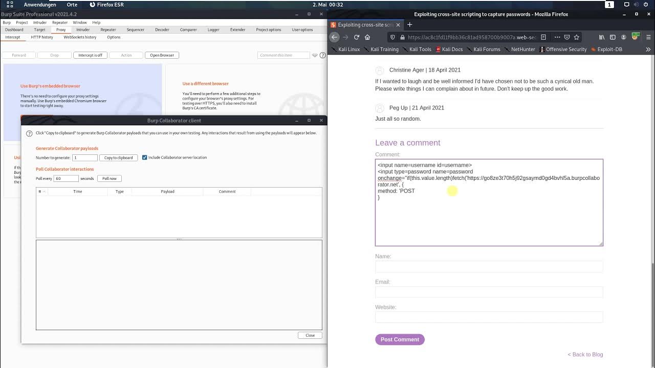 Exploiting cross-site scripting to capture passwords (Video solution, Audio) - YouTube