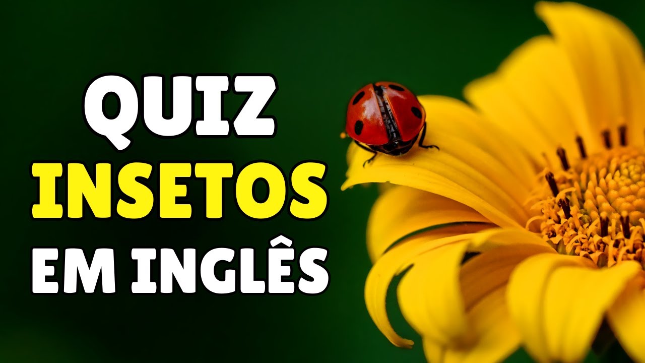 👉 Quiz Nomes de Insetos em Inglês | Você Acerta Todos? - YouTube