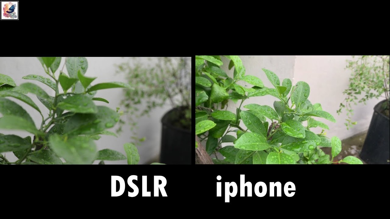 DSLR VS iphone 12 Pro Video Quality Comparison Test | Video Test DSLE ...