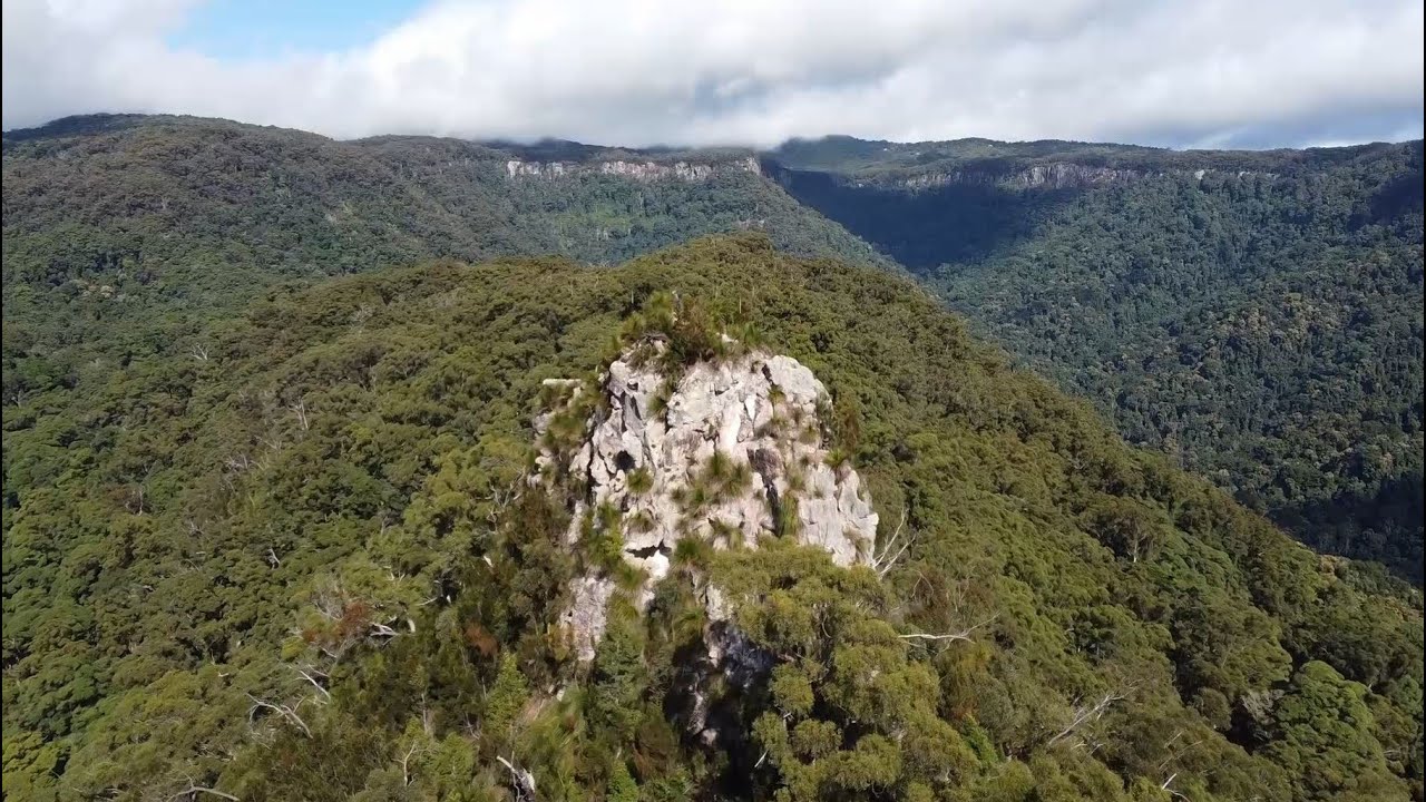 Warrie Circuit and Pinnacle Hike - Springbrook QLD - YouTube