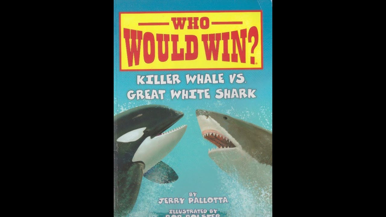 Who Would Win? Killer whale vs great white shark - YouTube