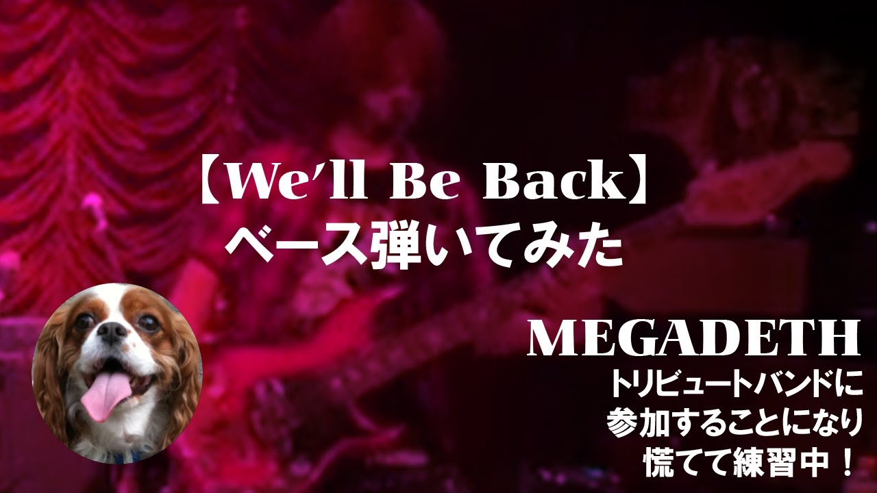 Megadeth 【We'll Be Back】ライブ感覚で弾いてみたw(BASS COVER）The Sick, The Dying ...