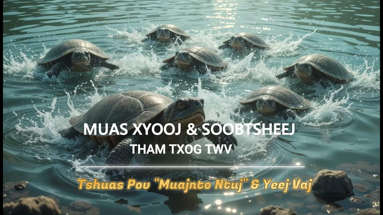 SoobTsheej & Muas Tham txog Twv Muajnto Ntuj & Yeej Vaj: Tso Nyiaj Muab Pab Rau GVP Cov Tub ...