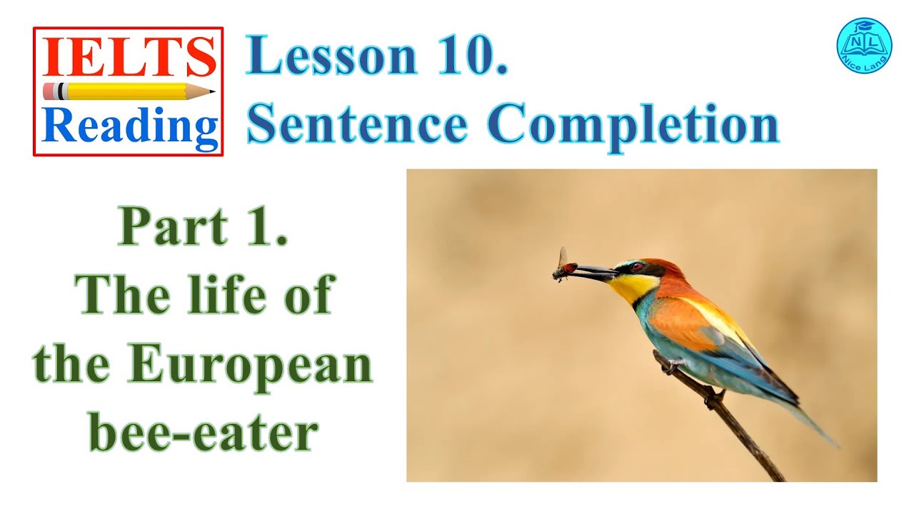 IELTS | Tips to do reading test | Lesson 10. Sentence Completion - YouTube