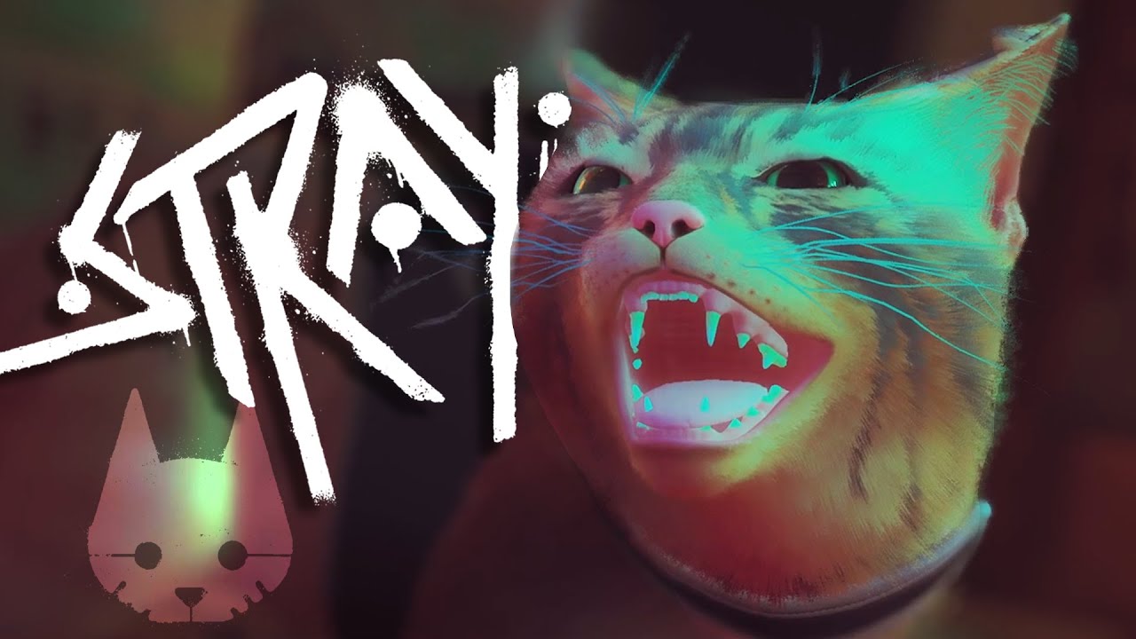 This Cat is Smarter Than I Thought! | Stray #5 - YouTube