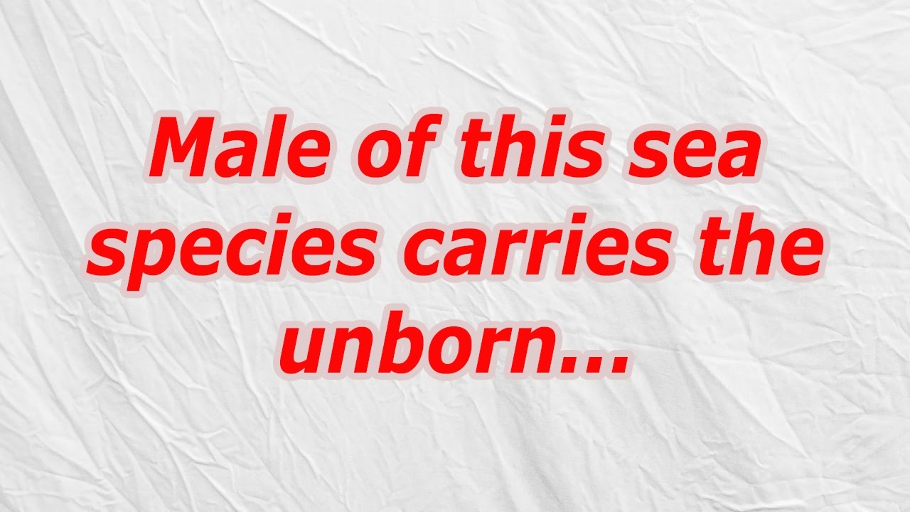 Male Of This Sea Species Carries The Unborn CodyCross Answer Cheat male-of-this-sea-species-carries-the-unborn-codycross-answer-cheat