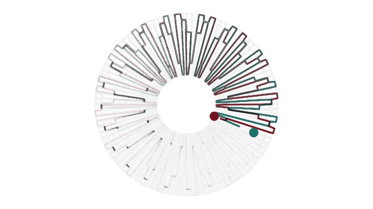 Piano Phase visualization - YouTube