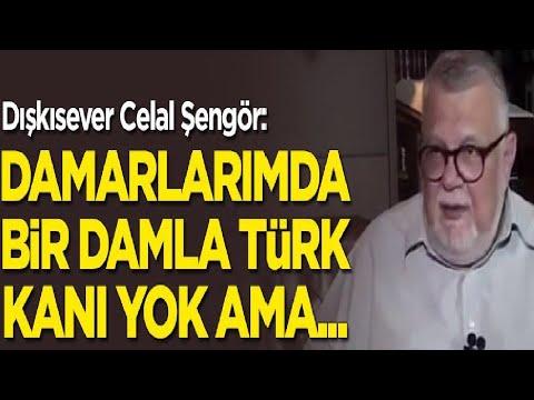 Celal Şengör: 'Damarlarımda bir damla Türk kanı yok'