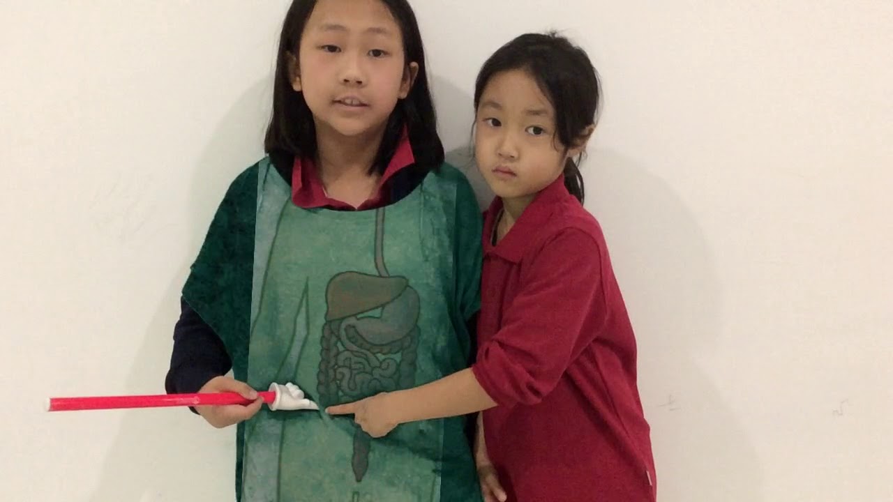 Human Body :Green Screen Project - YouTube