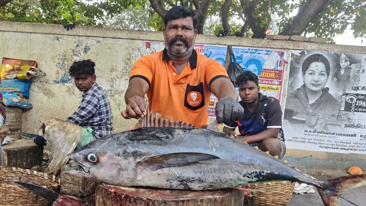 TUNA FISH CUTTING| IN KASIMADU | 4K VIDEO | PRAKASH CUTTER - YouTube