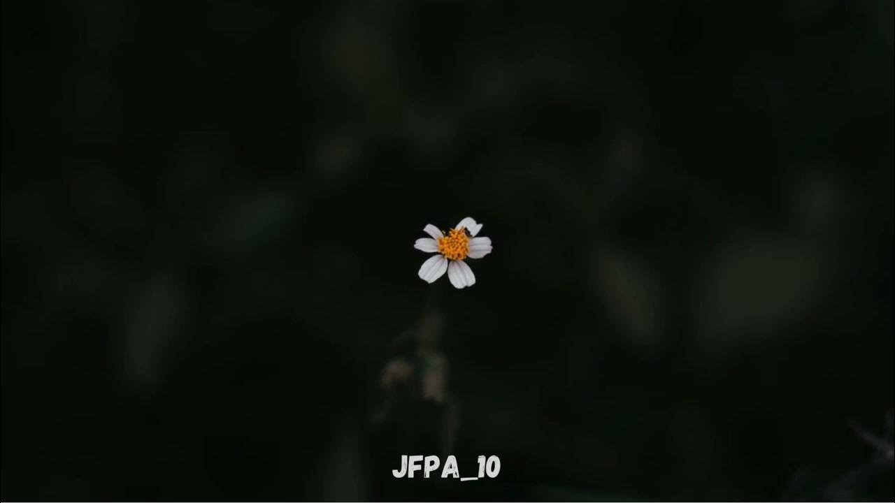 JFPA_10 - Life - YouTube