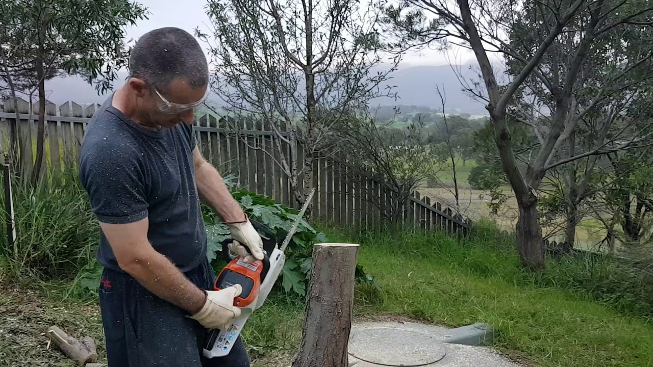 Stihl MSA200C electric chainsaw cutting. - YouTube