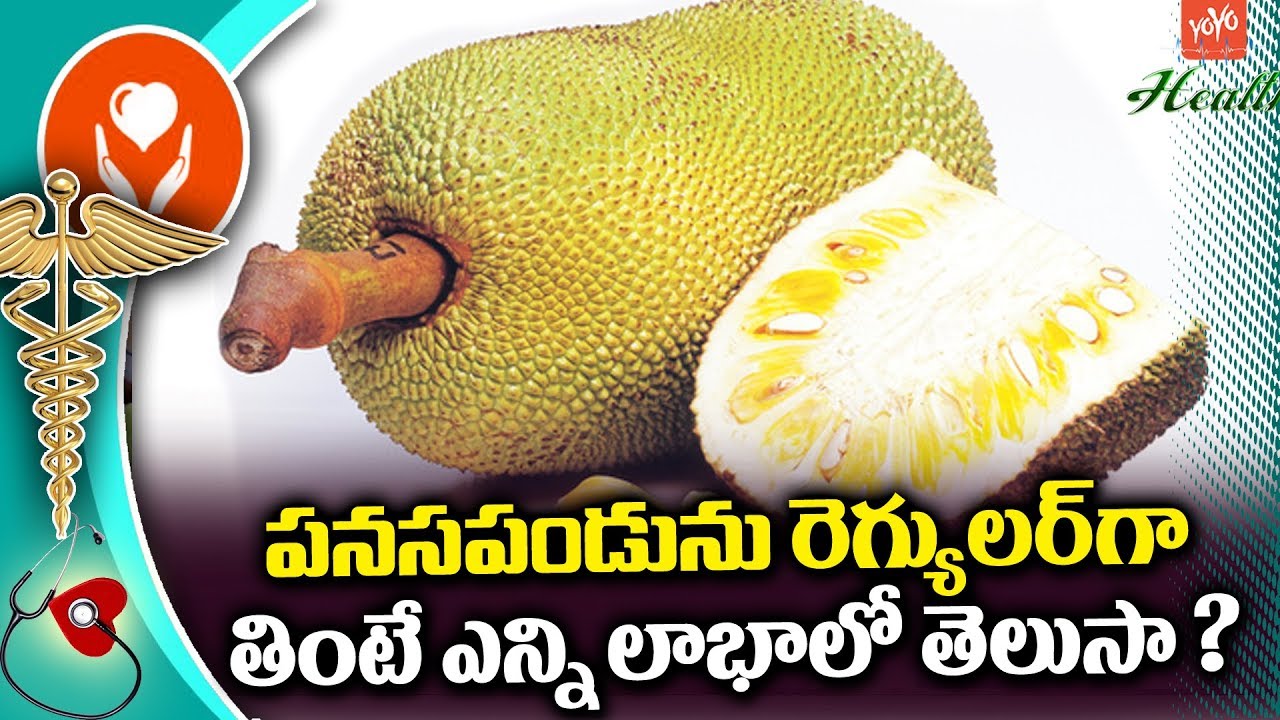 Health Benefits Of Jack Fruit | Jack Fruit Seeds | Panasa Pandu ...