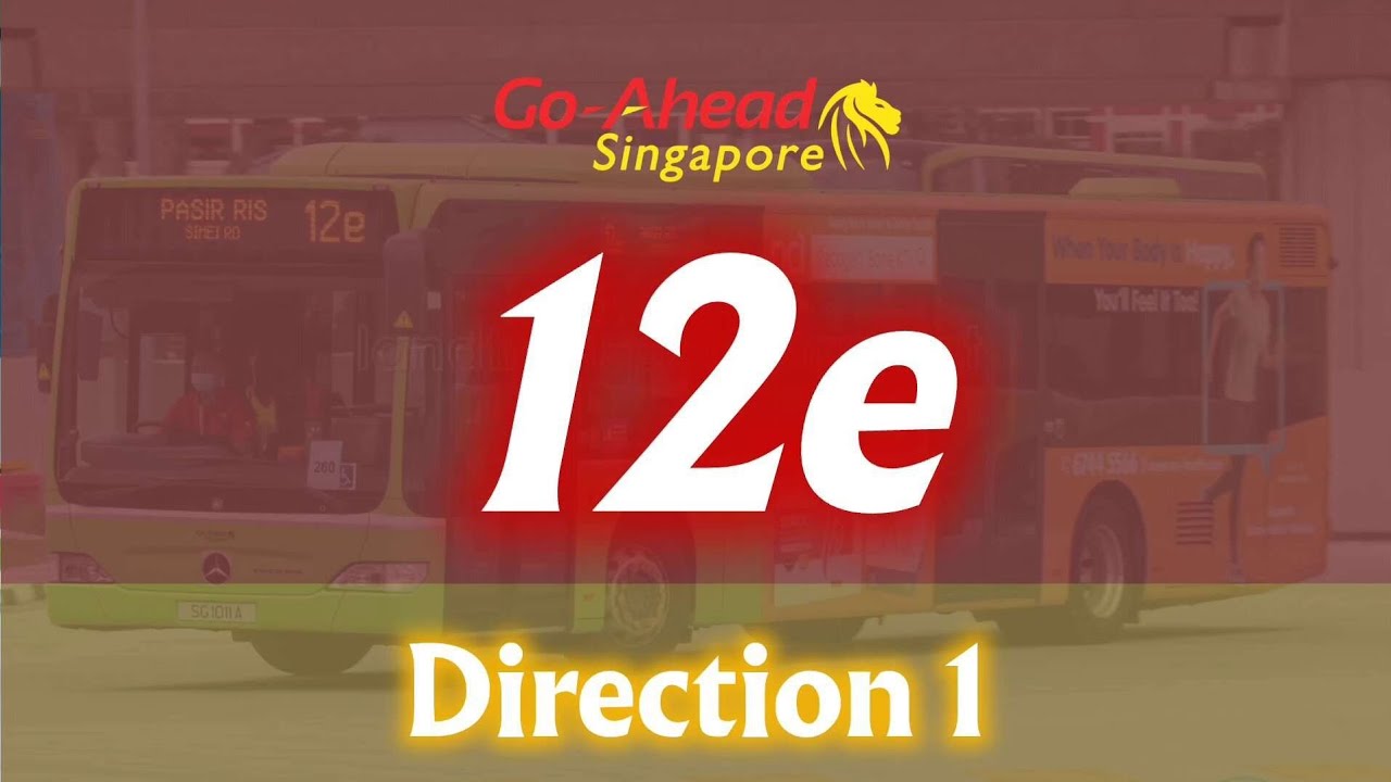 [BEFORE PASIR RIS ITH] Singapore Bus Route Visuals: Go-Ahead Singapore ...