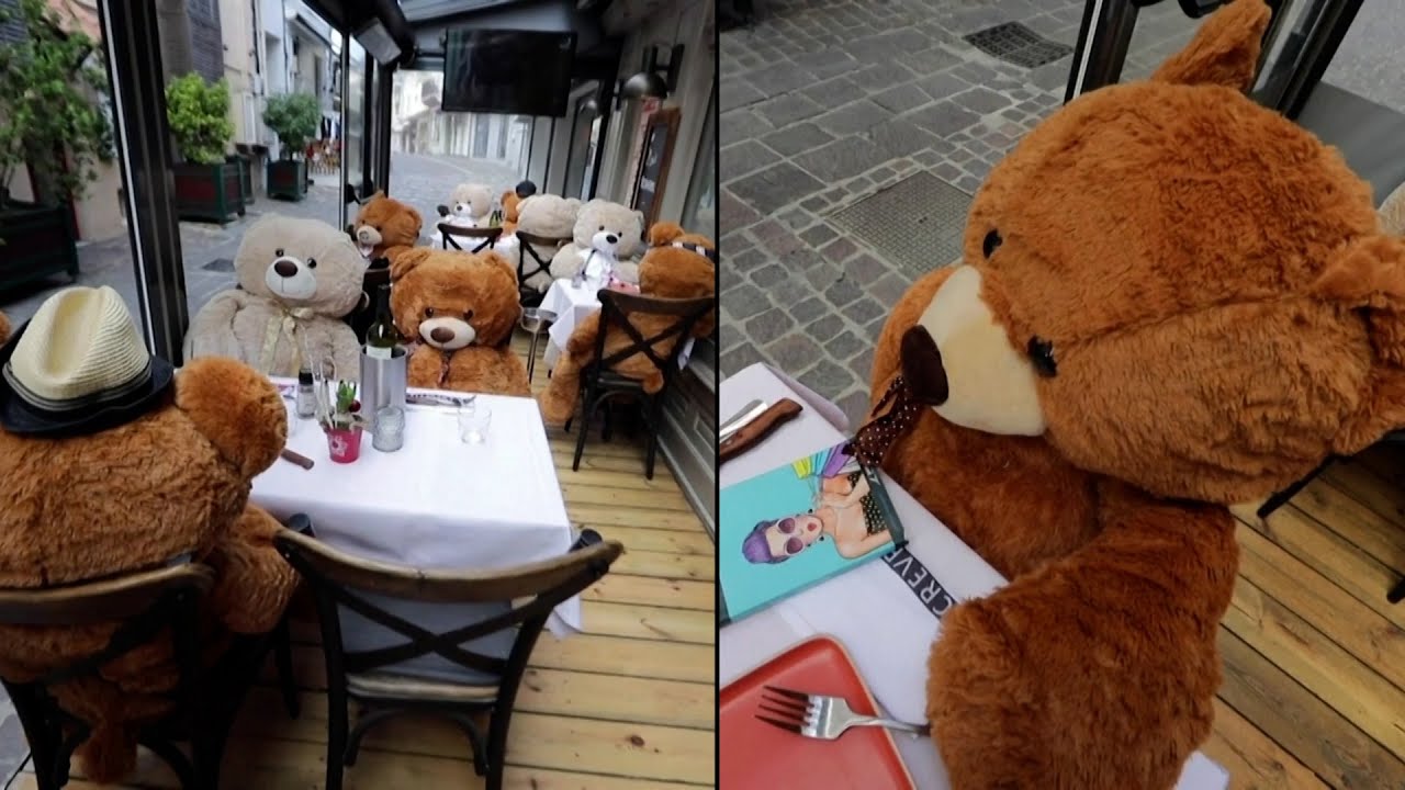 Restaurant Owner Packs Teddy Bears into Empty Seats - YouTube