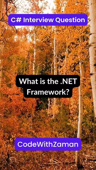 What Is The Net Frameworkcsharpprogrammingcodingdotnetaspnet Youtube