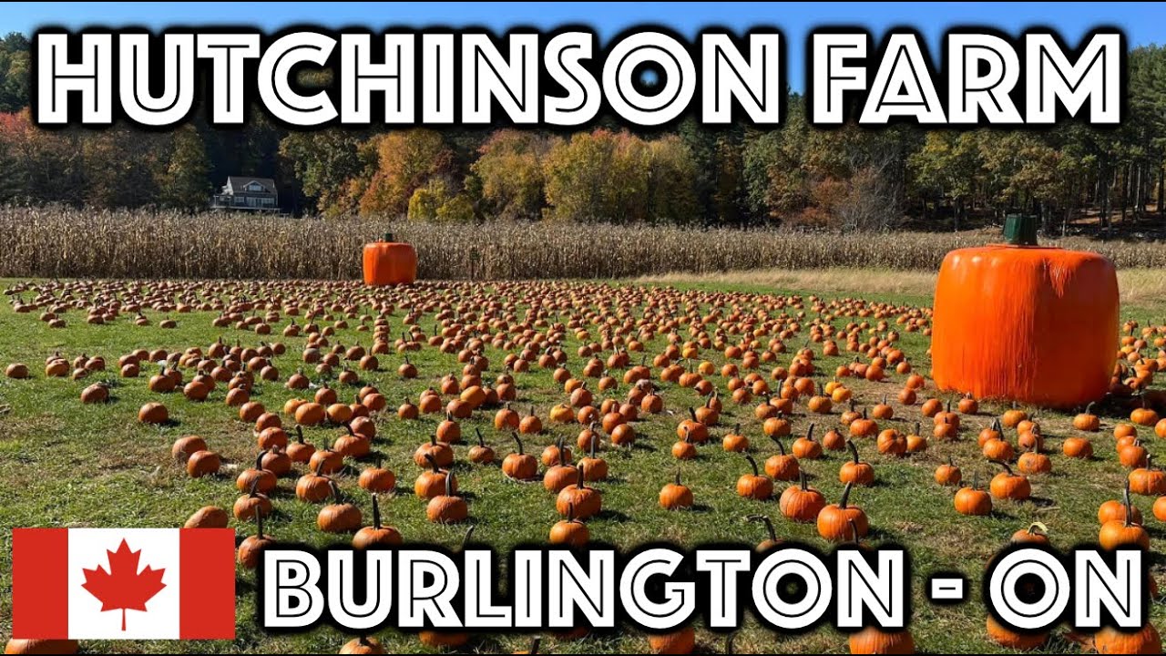 Hutchinson Farm - Burlington ON - YouTube