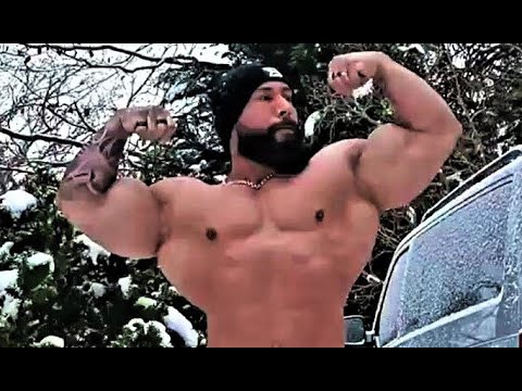 𝐖𝐢𝐧𝐭𝐞𝐫𝐭𝐢𝐦𝐞 𝐰𝐢𝐭𝐡 𝐒𝐚𝐦𝐢𝐫 𝐓𝐫𝐨𝐮𝐝𝐢 - YouTube