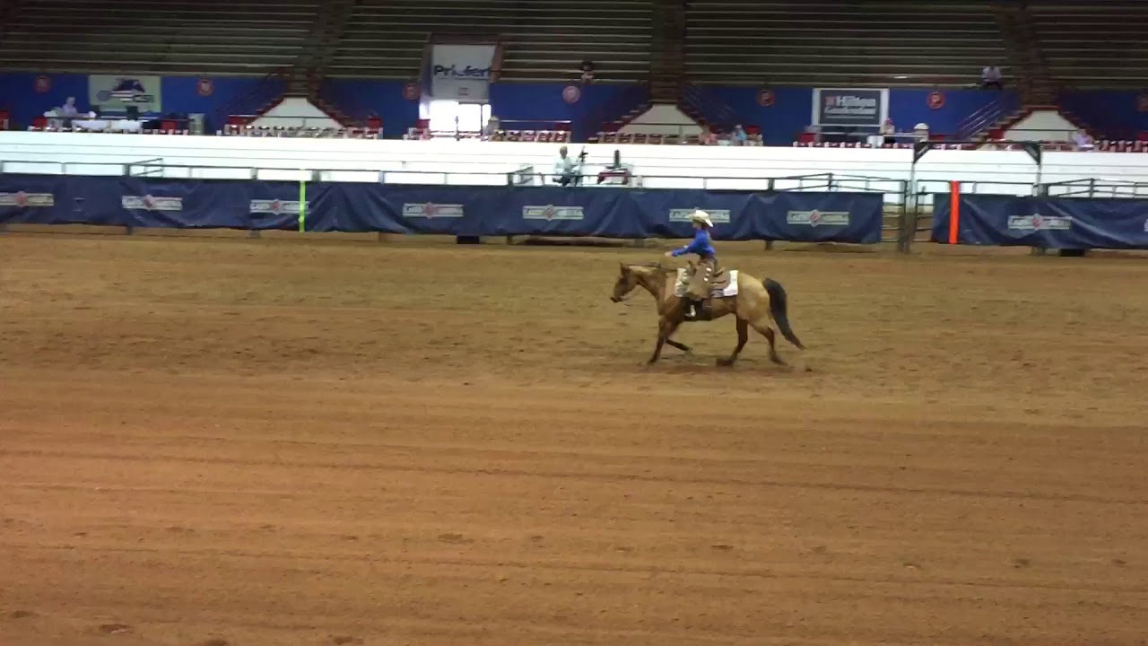 AQHA Versatility Ranch Horse Championships - YouTube