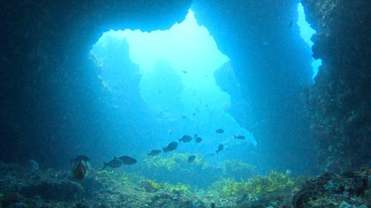 Rottnest Island Swirl Reef and Shipwreck City Of York - YouTube