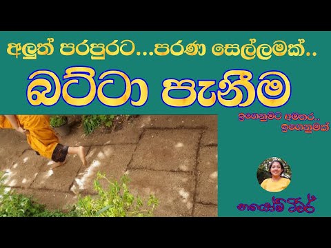 පොඩිත්තන්ගේ විවේකයට බට්ටා පැනීම නයෝමි ටීචර් Batta paneema Nayomi ...