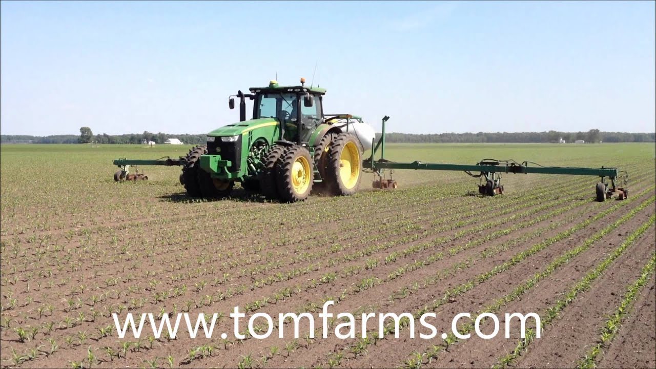 Tom Farms Flaming Male Corn 2012.wmv - YouTube
