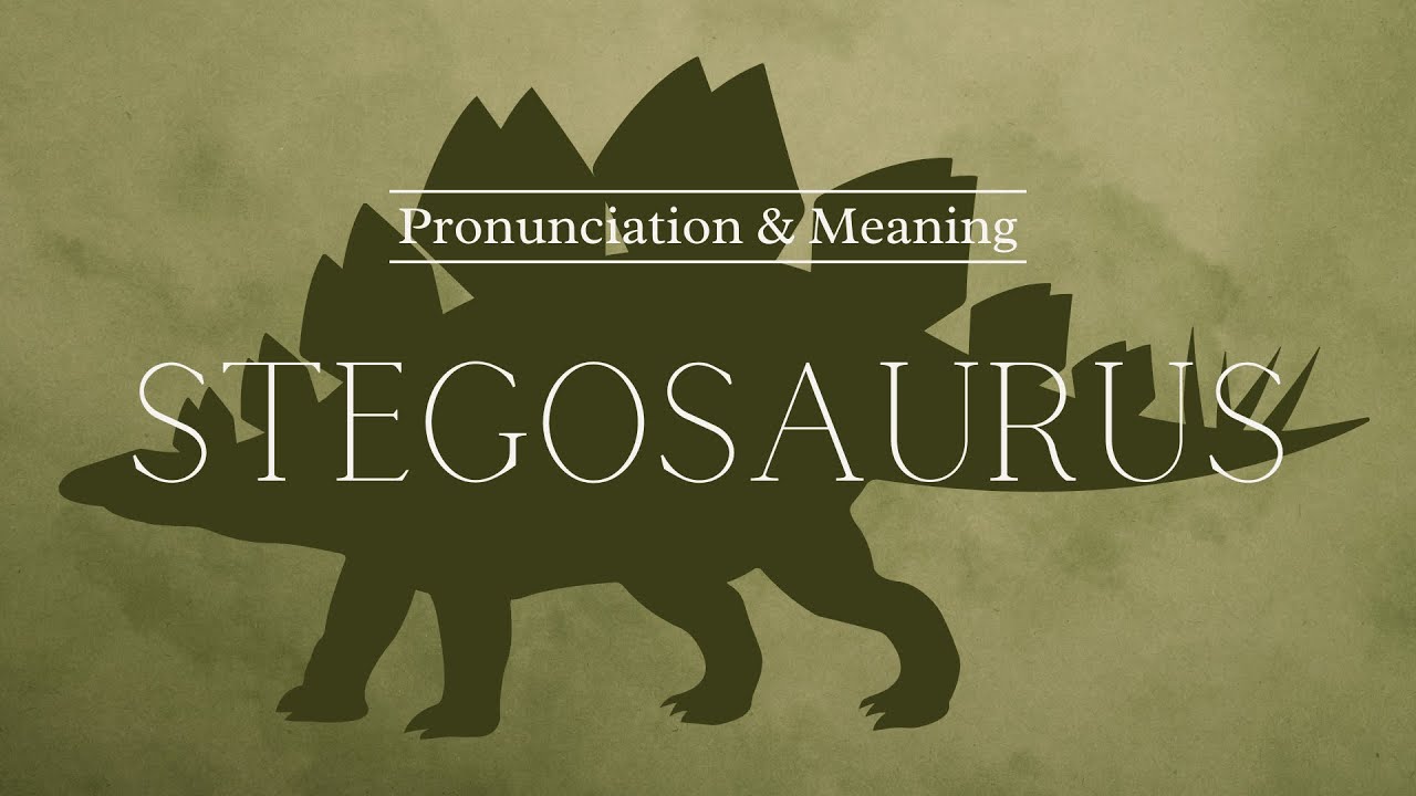 How to Pronounce: Stegosaurus | British Pronunciation & Meaning - YouTube