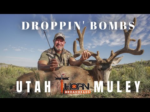 Mark Heck's 80 yard bomb with an "XV" on big Muley! - YouTube