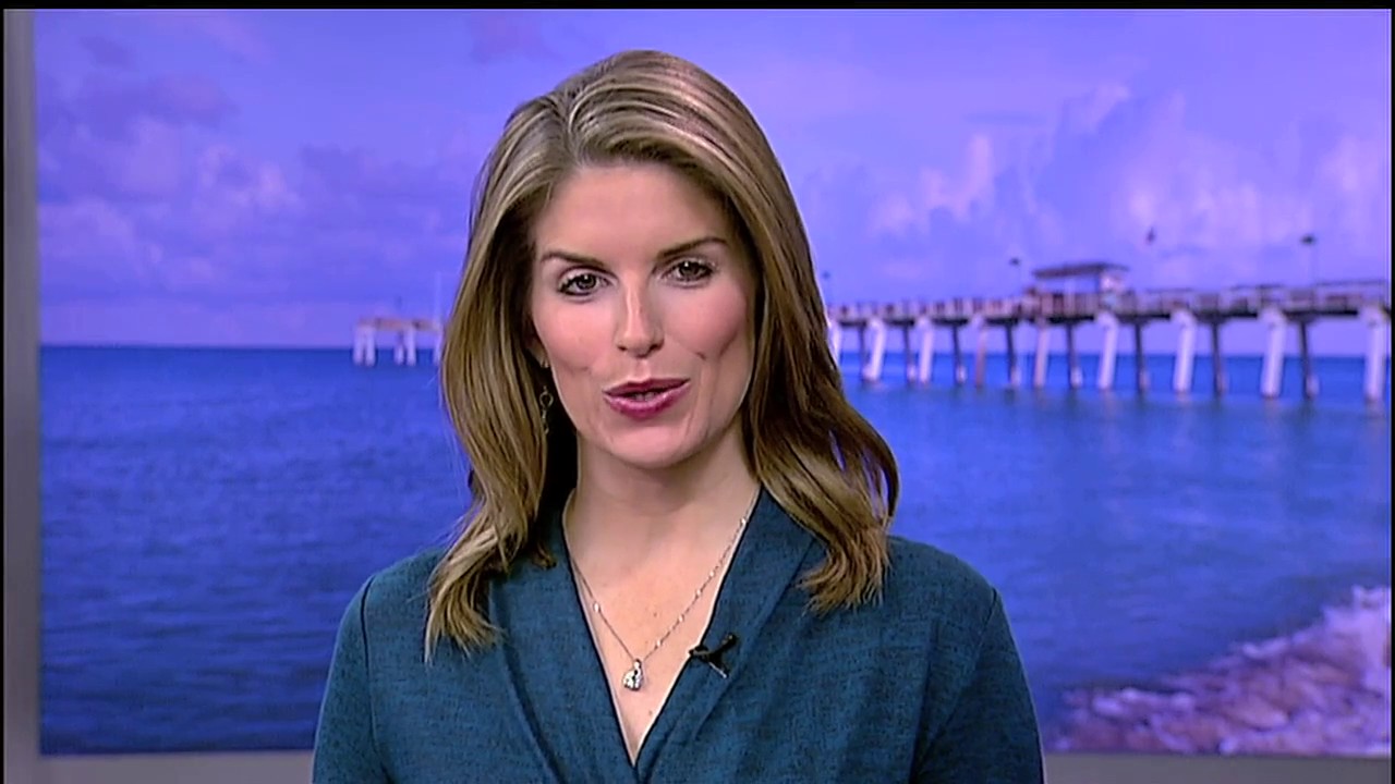 ABC 7 News at 5:30pm - Wednesday November 2, 2016 - YouTube