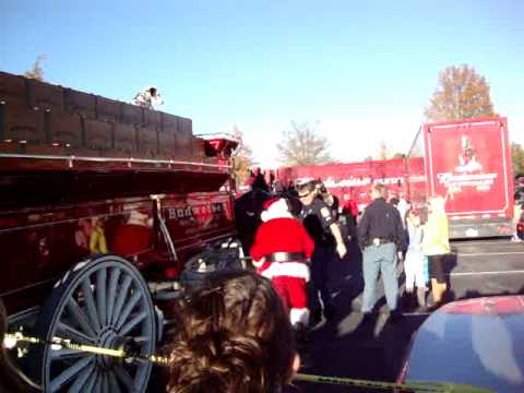Budweiser Santa Clause Clydesdales Horses and Wagon, Columbus, Ga, 11 ...