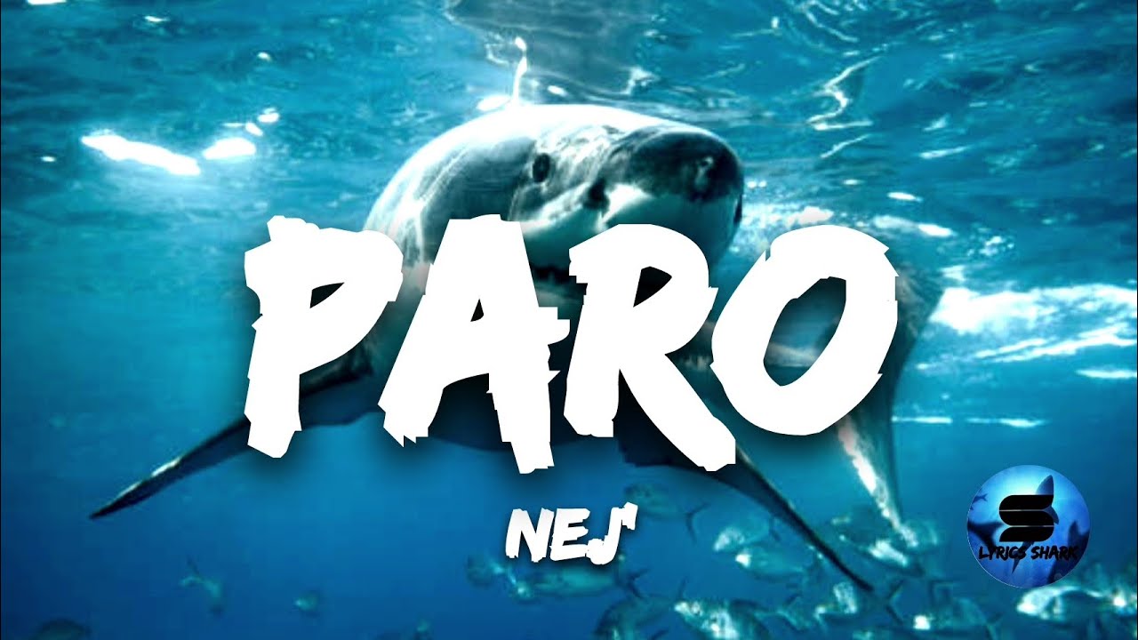 Nej' ★ Paro ★ lyrics 🐟 - YouTube