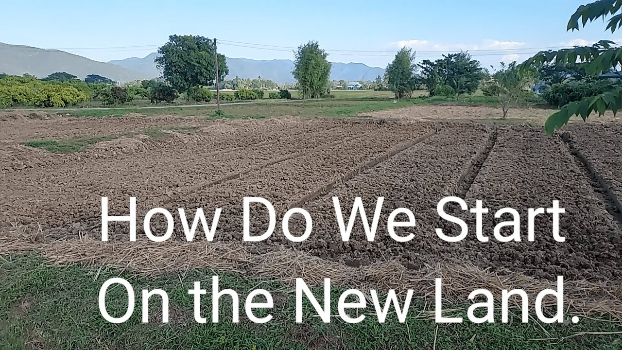 How Do We Start On the New Land? - YouTube