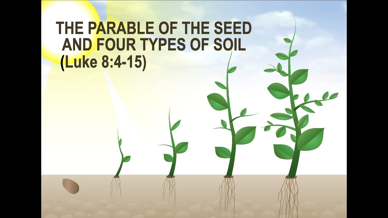 THE PARABLE OF THE SEED AND FOUR TYPES OF SOIL (Luke 8:4-15) | SUNDAY ...