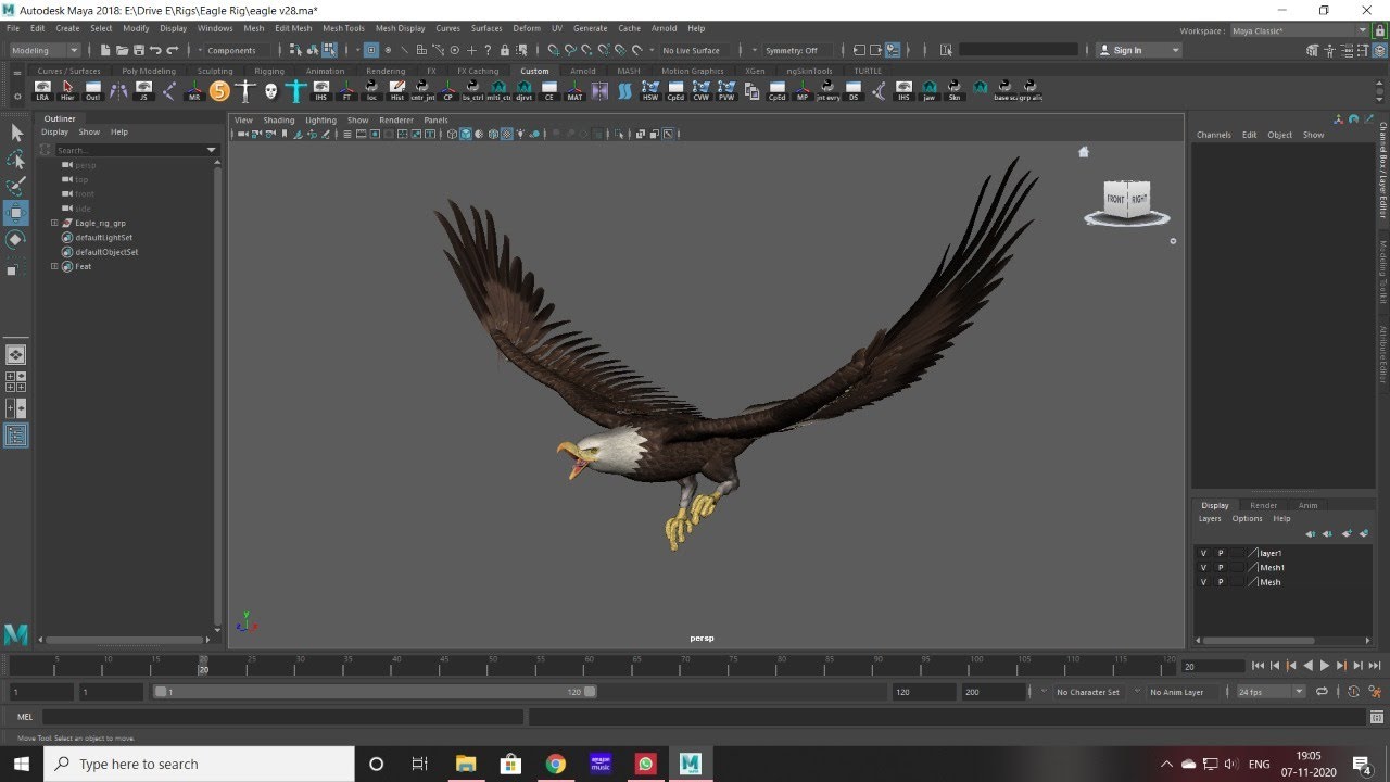 Bird Rig Demo - YouTube