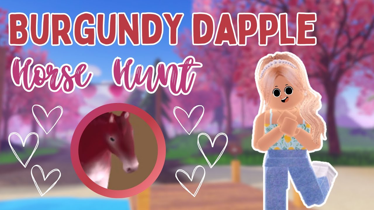 Hunting for *BURGUNDY DAPPLE HORSES* | Wild Horse Islands - YouTube