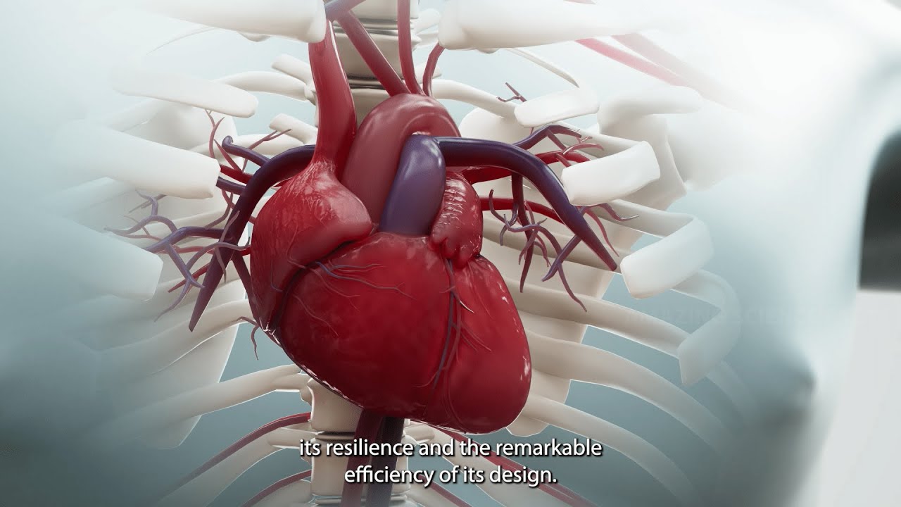 The Self-Sustaining Heart: Beating Outside the Body - YouTube