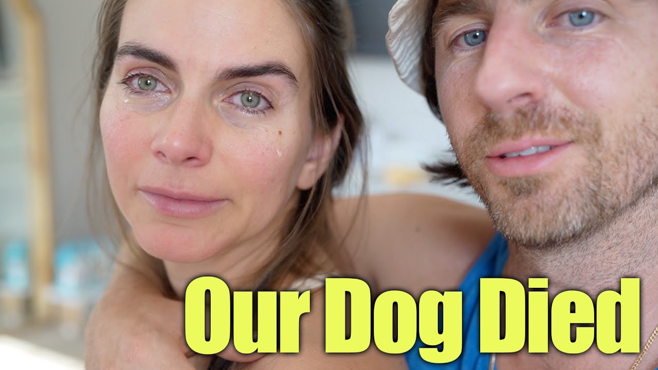 Our Dog Boone Passed Away & Our Finished Nursery Photoshoot - YouTube