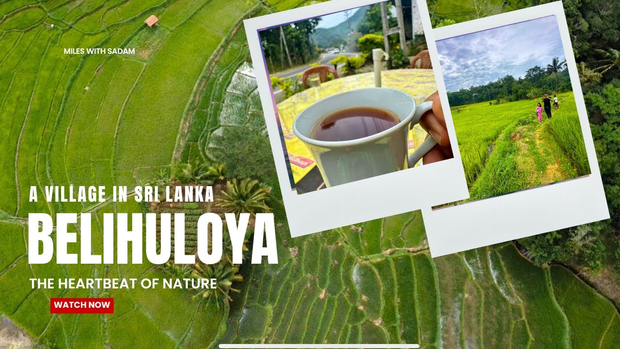 Belihuloya Nature, Adventure & Relaxation | Heritage Resort Belihuloya ...