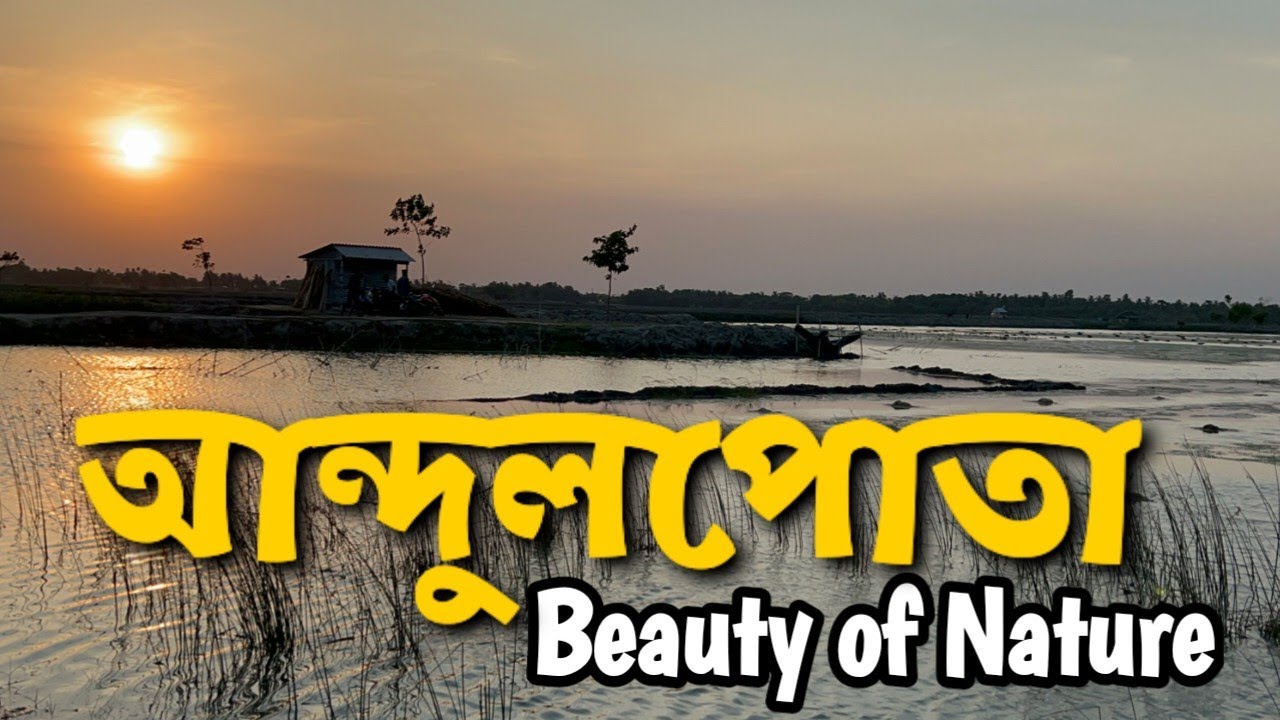 চোখ জুড়ানো ৩০০ বিঘা- ঘুরে আসুন আন্দুলপোতা || Andulpota || Basirhat ...