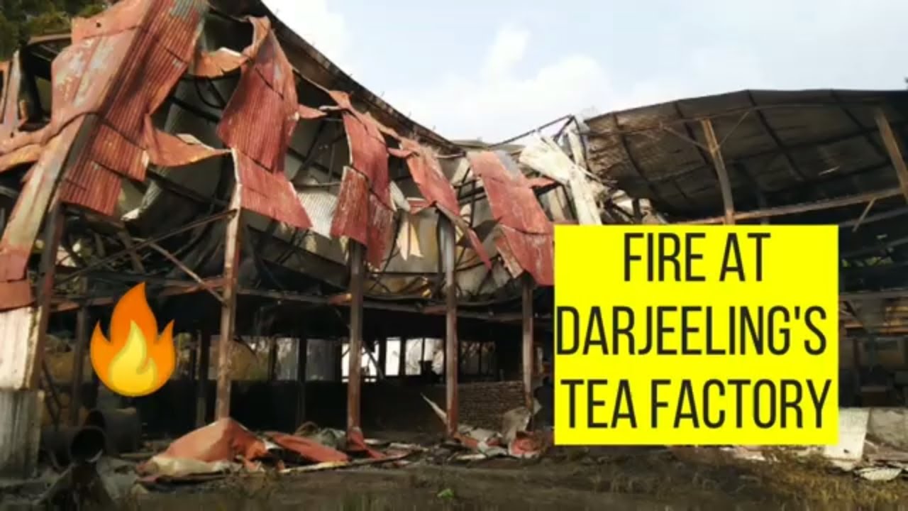Fire at Darjeeling's Tungsung Tea Factory || TumSong Tea Factory ...