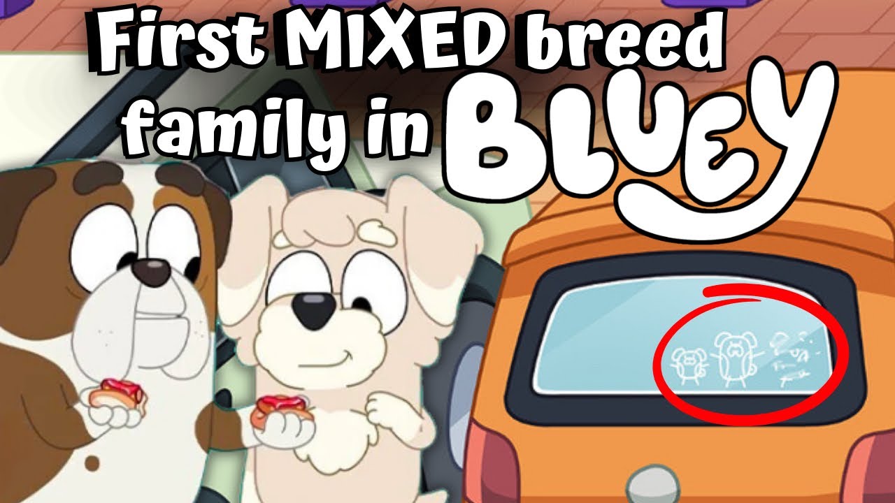 Bluey Ships that are CONFIRMED (Top 5 Facts from the Bluey episode TV ...